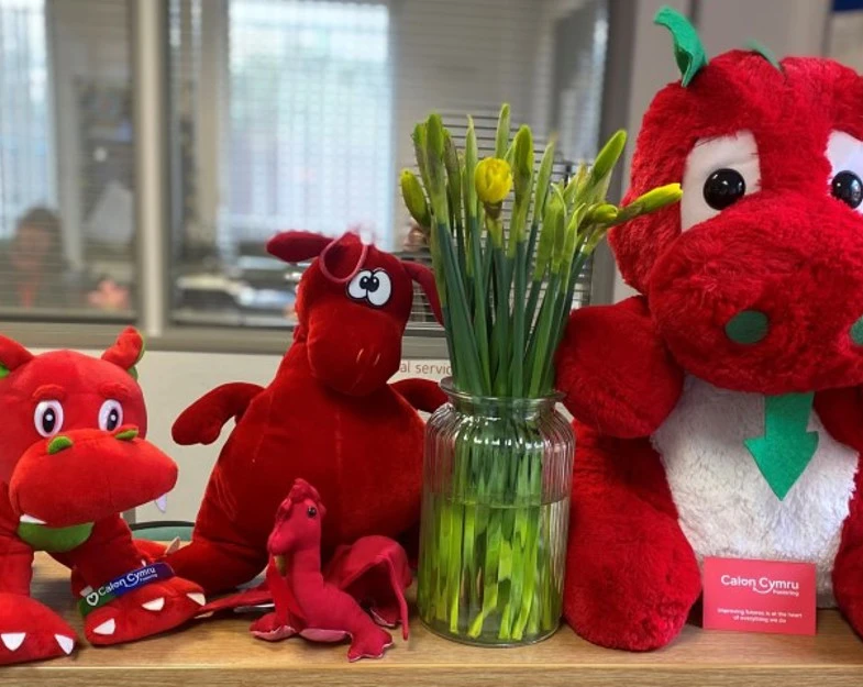 Why Choose Us? | Calon Cymru Fostering