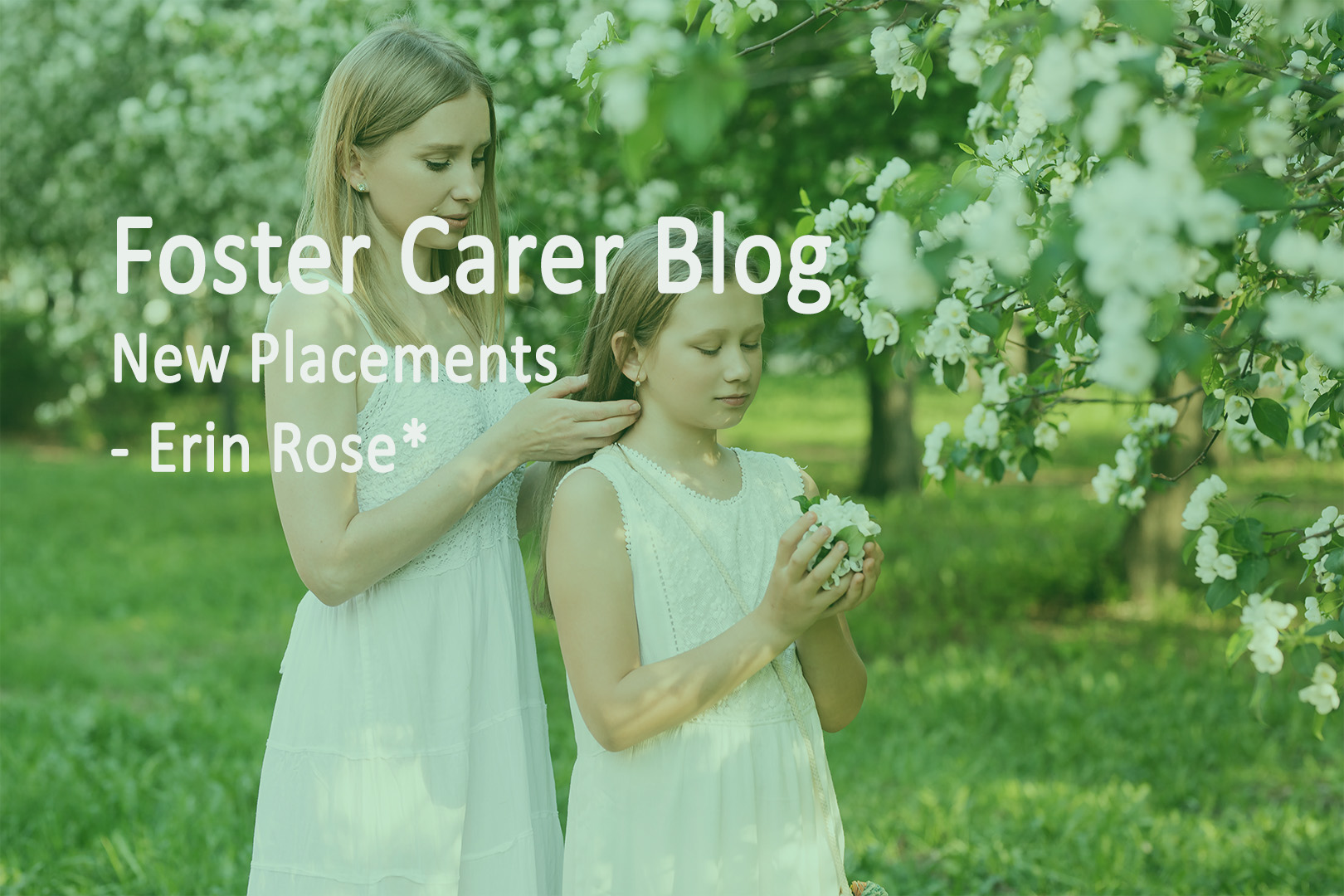 New Foster Placements | Calon Cymru Fostering
